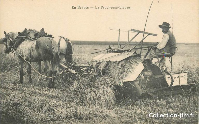 Une récolte à la moissonneuse-lieuse ! - AmiGoVille
